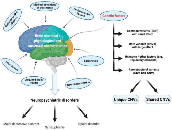 Copy Number Variations in Neuropsychiatric Disorders