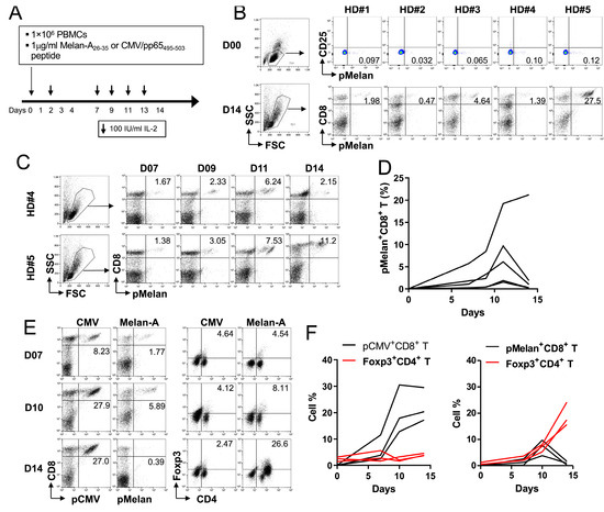 Cross-Activation of Regulatory T Cells by Self Antigens Limits Self ...