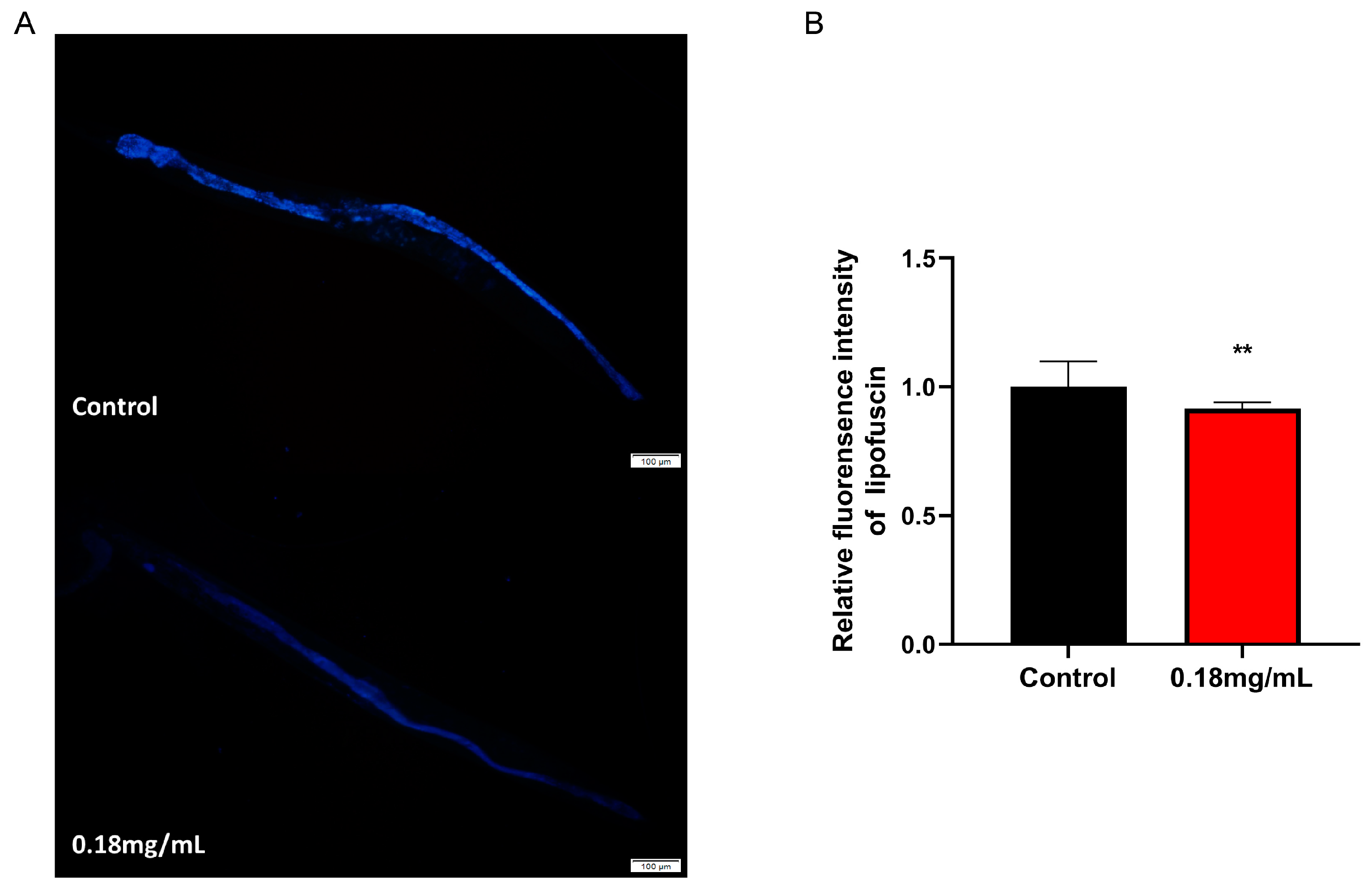IJMS | Free Full-Text | APPA Increases Lifespan and Stress Resistance ...