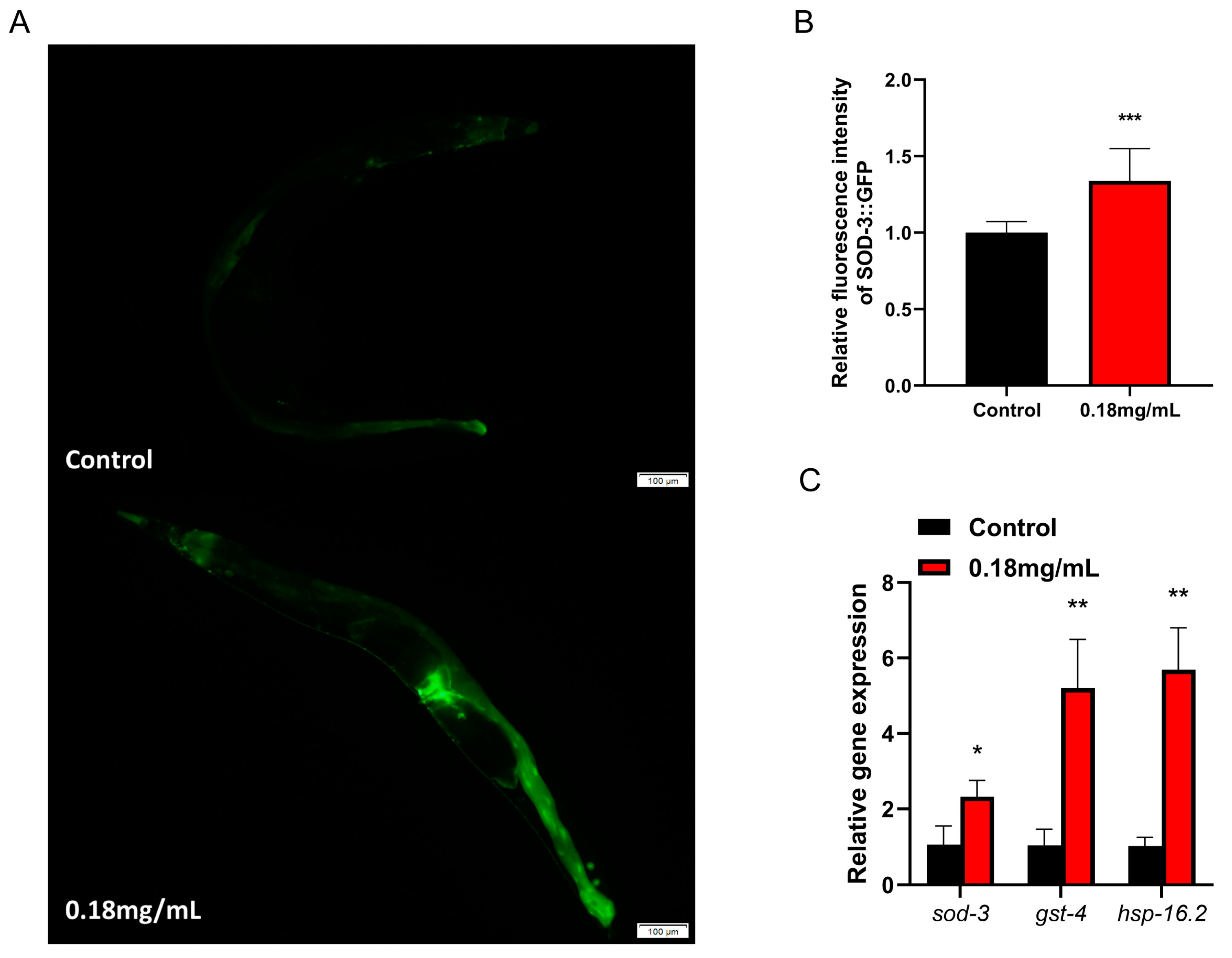 IJMS | Free Full-Text | APPA Increases Lifespan and Stress Resistance ...