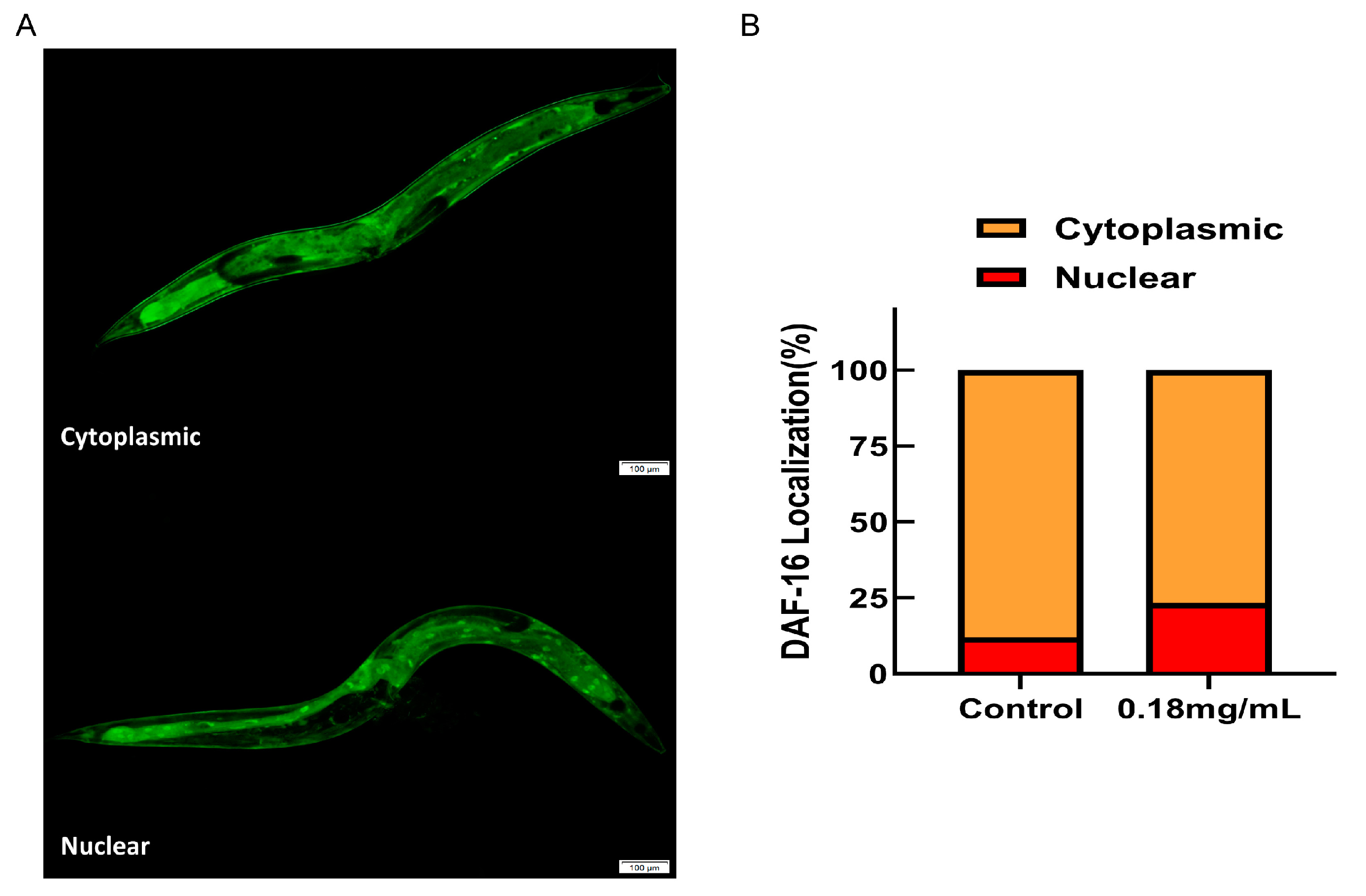 IJMS | Free Full-Text | APPA Increases Lifespan and Stress Resistance ...