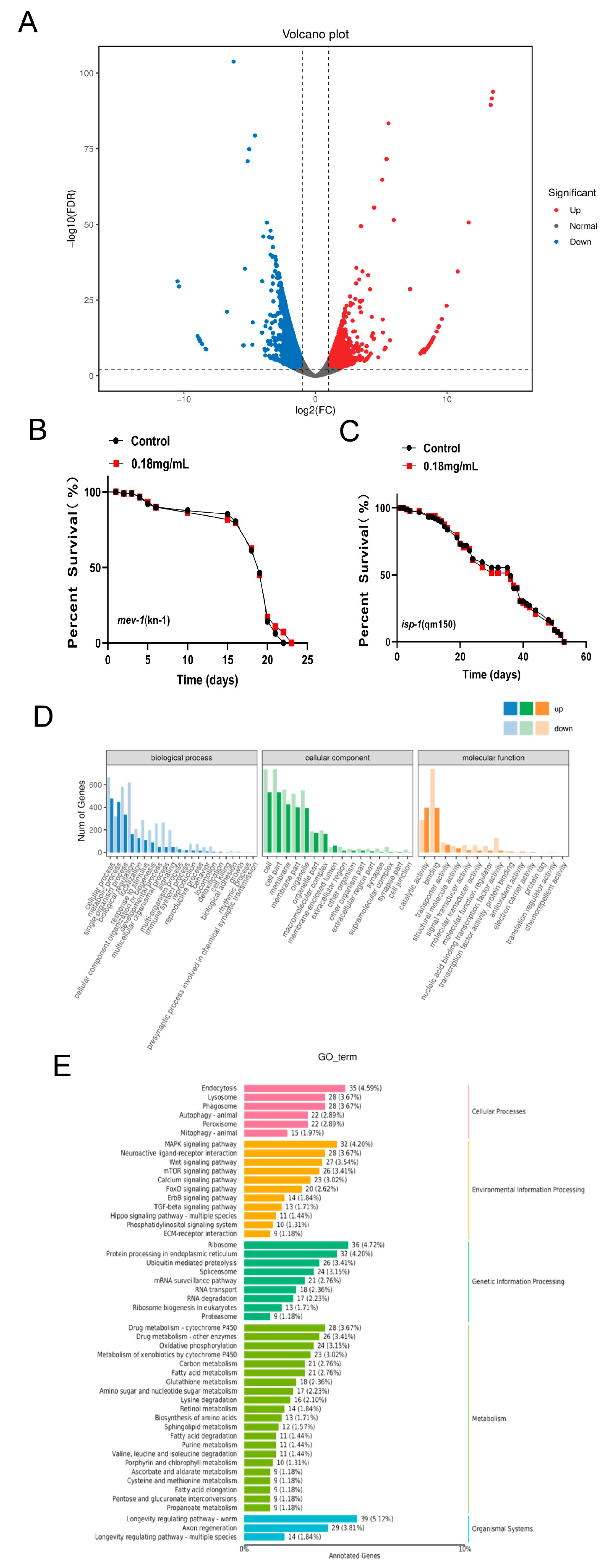 IJMS | Free Full-Text | APPA Increases Lifespan and Stress Resistance ...