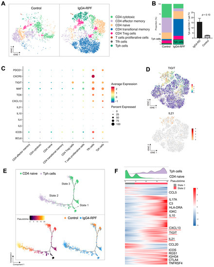 Single-Cell RNA-Sequencing Reveals Peripheral T Helper Cells Promoting ...
