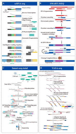 Single-Nucleus RNA-Seq: Open the Era of Great Navigation for FFPE Tissue