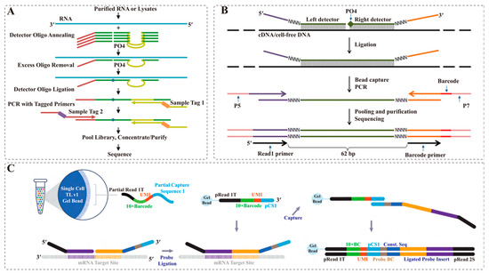 Single-Nucleus RNA-Seq: Open the Era of Great Navigation for FFPE Tissue