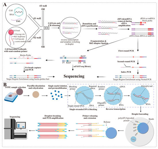 Single-Nucleus RNA-Seq: Open the Era of Great Navigation for FFPE Tissue