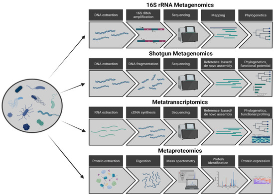 Microbiomes, Their Function, and Cancer: How Metatranscriptomics Can ...