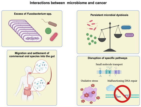 Microbiomes, Their Function, and Cancer: How Metatranscriptomics Can ...