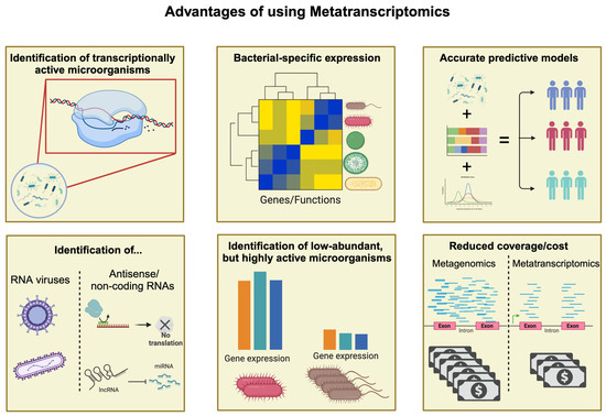 Microbiomes, Their Function, and Cancer: How Metatranscriptomics Can Close the Knowledge Gap