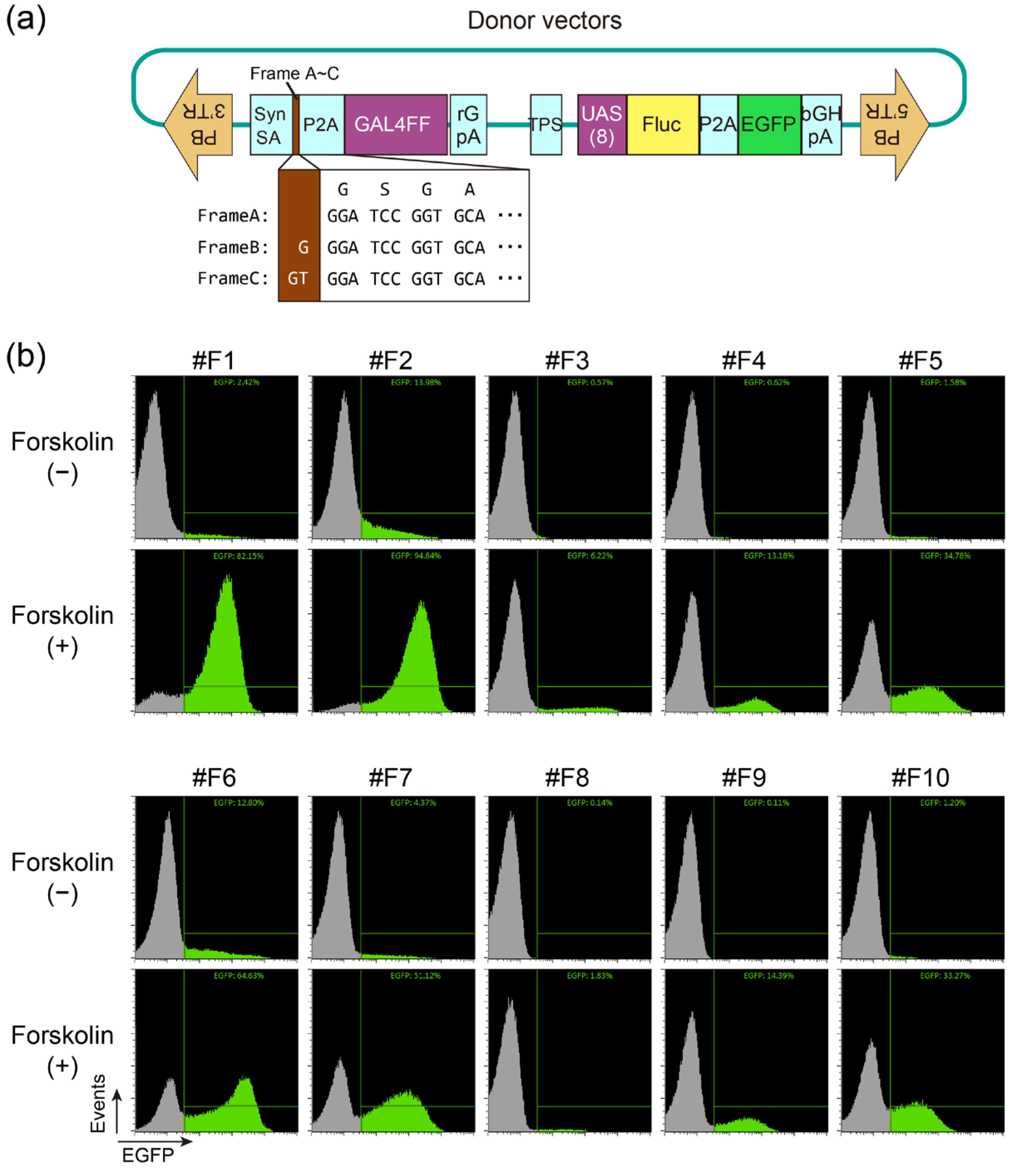 Tyrosine Kinase Inhibitor Profiling Using Multiple Forskolin-Responsive Reporter Cells