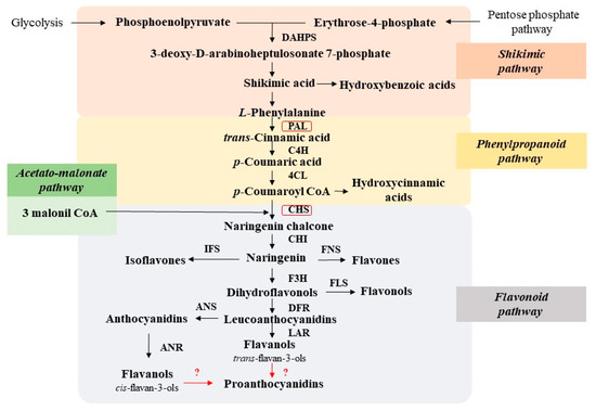 Polyphenols in Plants: Structure, Biosynthesis, Abiotic Stress ...