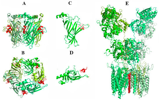 Fifty Years of Animal Toxin Research at the Shemyakin–Ovchinnikov ...
