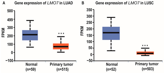 Novel Long Non-Coding RNA (lncRNA) Transcript AL137782.1 Promotes the ...