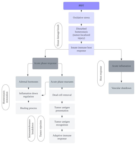 PDT-Induced Activation Enhanced by Hormone Response to Treatment