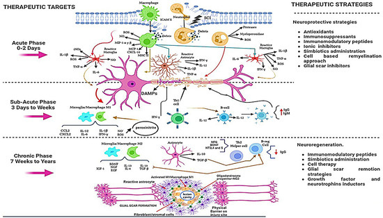 IJMS | Free Full-Text | Use of Cells, Supplements, and Peptides as ...