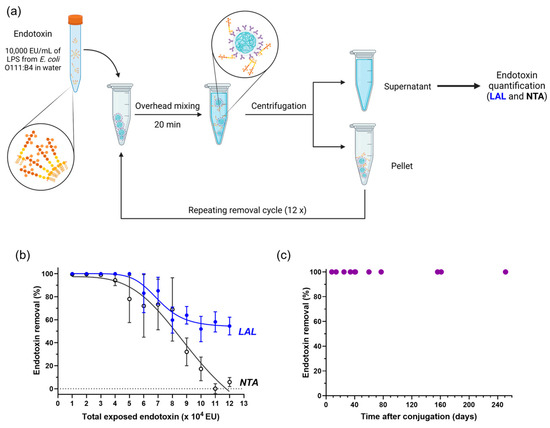 Recovering What Matters: High Protein Recovery after Endotoxin Removal ...