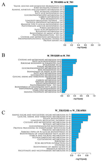 Expression Analysis Reveals Differentially Expressed Genes in BPH and ...