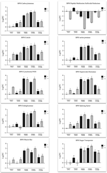 Expression Analysis Reveals Differentially Expressed Genes in BPH and ...