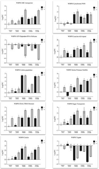 Expression Analysis Reveals Differentially Expressed Genes in BPH and ...
