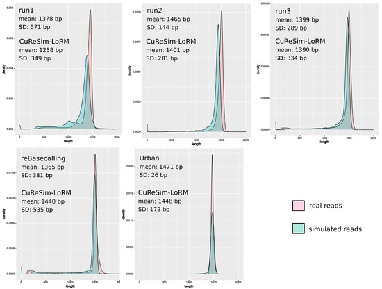 IJMS | Free Full-Text | CuReSim-LoRM: A Tool to Simulate Metabarcoding Long Reads