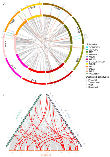 Genomic and Transcriptomic Insights into the Evolution and Divergence ...