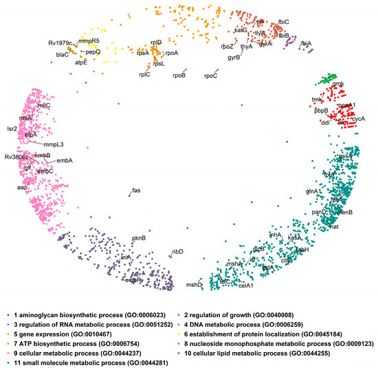 IJMS | Free Full-Text | Selection of Multi-Drug Targets against Drug-Resistant Mycobacterium ...