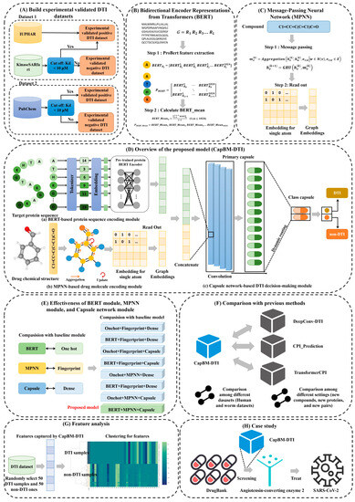 A Robust Drug–Target Interaction Prediction Framework with Capsule Network and Transfer Learning