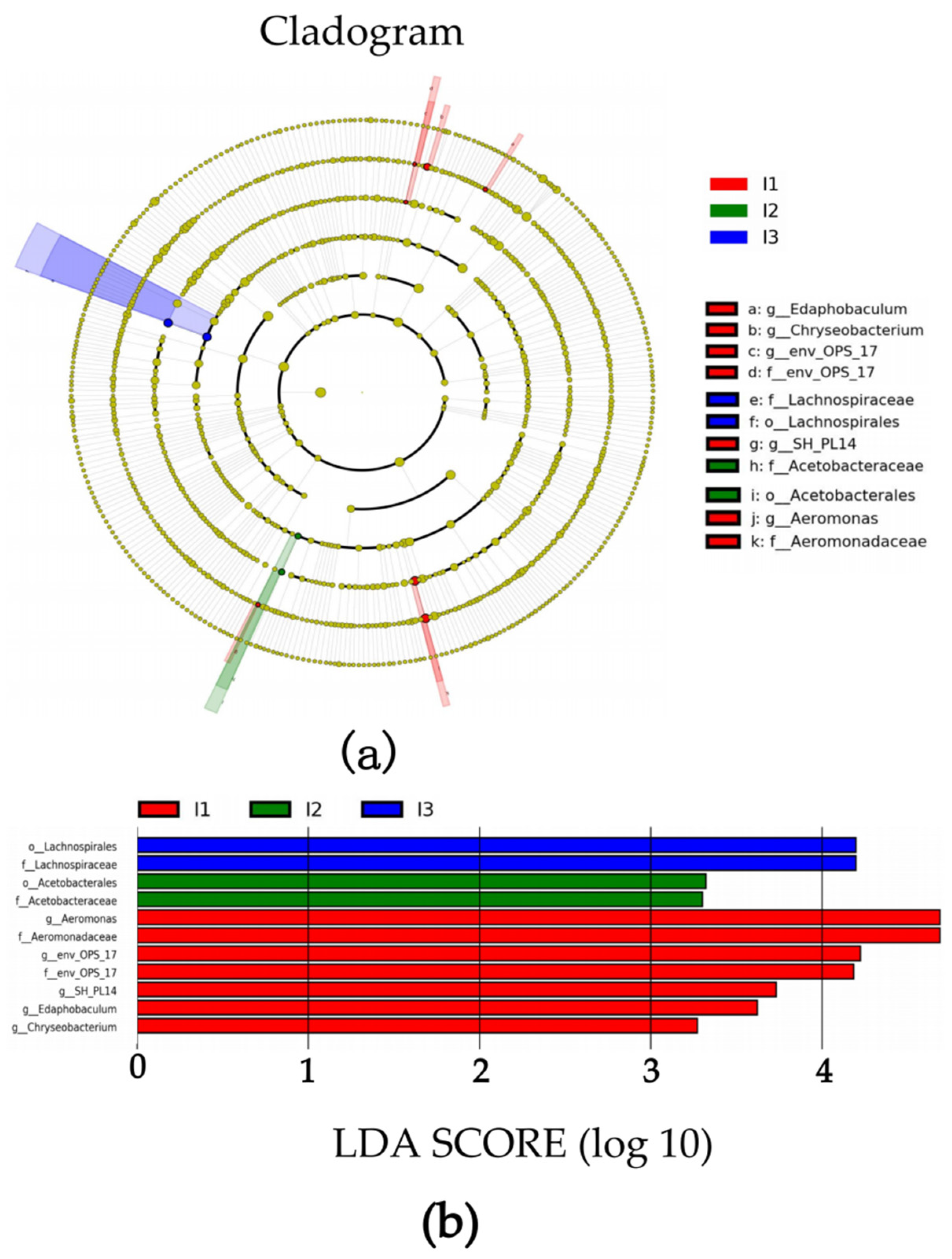 Effects of Different Sources of Culture Substrate on the Growth and ...