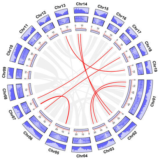 Comprehensive Analysis and Characterization of the GATA Gene Family ...