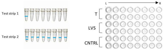 Menstrual Tampons Are Reliable and Acceptable Tools to Self-Collect ...