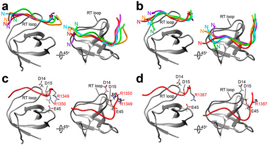 Interactions of the N- and C-Terminal SH3 Domains of Drosophila Drk ...