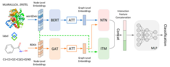 IJMS | Free Full-Text | AMMVF-DTI: A Novel Model Predicting Drug–Target Interactions Based on ...