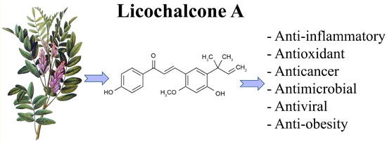 Licochalcone A: A Potential Multitarget Drug for Alzheimer’s Disease ...