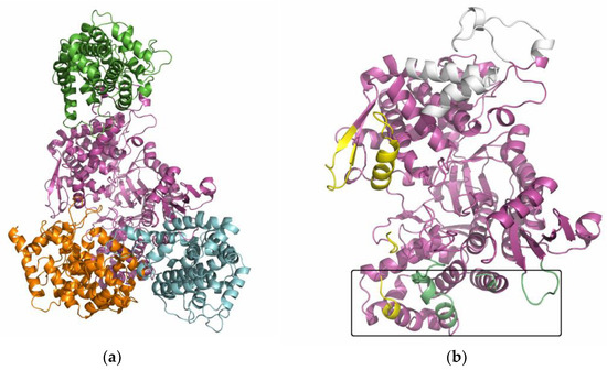 Identification of SH2 Domain-Containing Protein 3C as a Novel, Putative ...