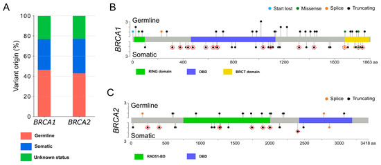 Differential Sensitivity of Germline and Somatic BRCA Variants to PARP ...