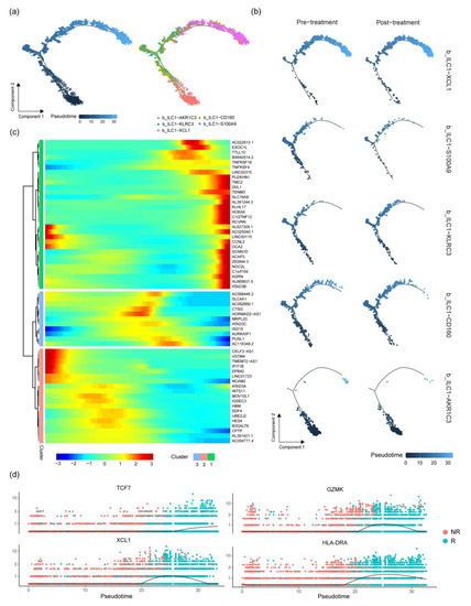 IJMS | Free Full-Text | Investigating the Heterogeneity of Immune Cells ...