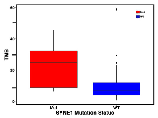 SYNE1 Mutation Is Associated with Increased Tumor Mutation Burden and Immune Cell Infiltration ...
