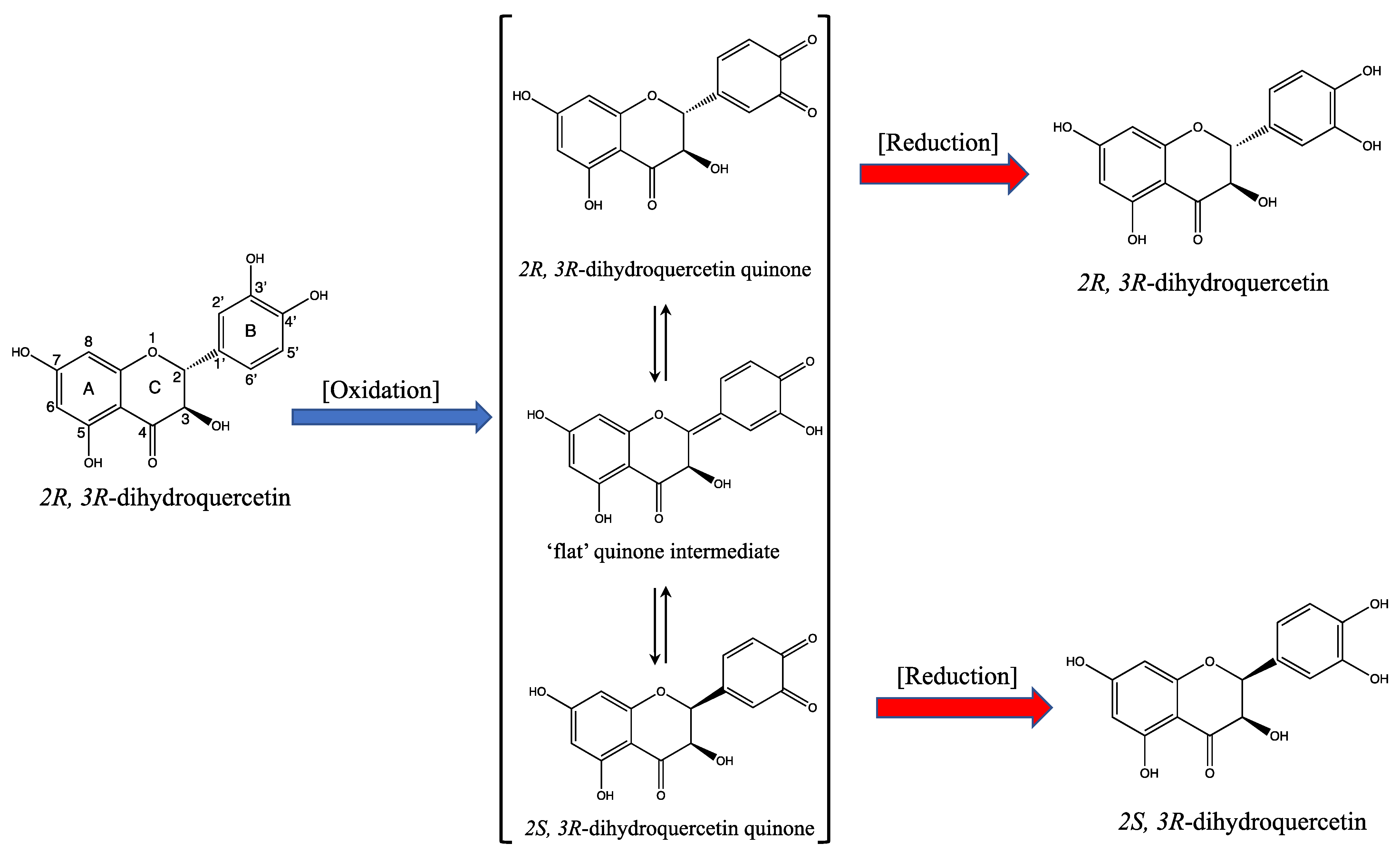 Unraveling the Antioxidant Activity of 2R,3R-dihydroquercetin