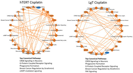 Insights into Repeated Renal Injury Using RNA-Seq with Two New RPTEC ...