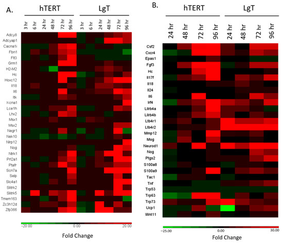 Insights into Repeated Renal Injury Using RNA-Seq with Two New RPTEC ...