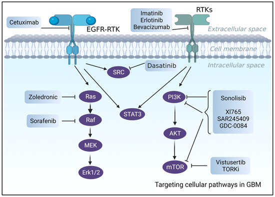 Understanding Glioblastoma Signaling, Heterogeneity, Invasiveness, and ...