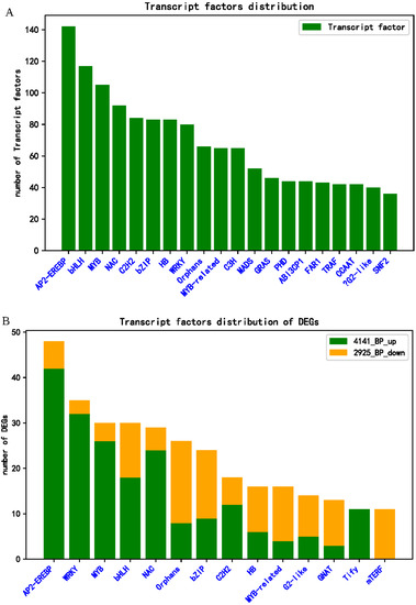 Comparison of Transcriptome between Tolerant and Susceptible Rice ...