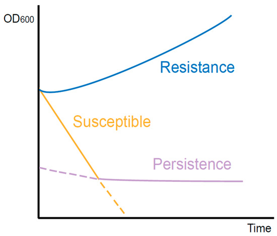 Recent Advances in Bacterial Persistence Mechanisms