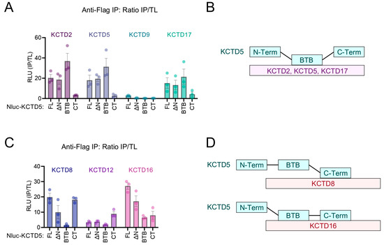KCTD5 Forms Hetero-Oligomeric Complexes with Various Members of the ...