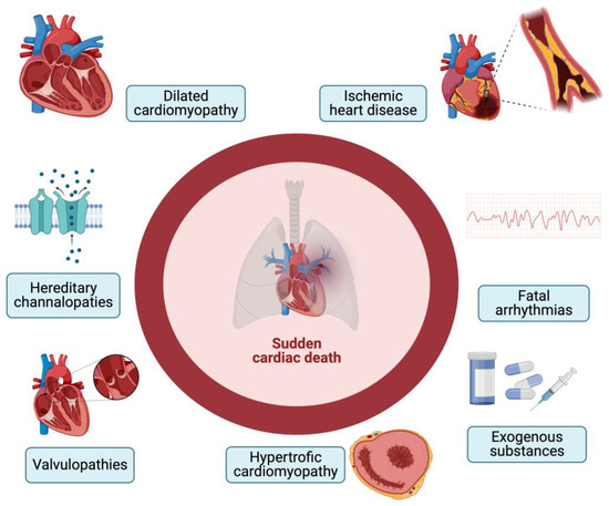 Exploring the Potential of Proteome Analysis as a Promising Tool for ...