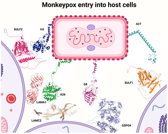 IJMS | Free Full-Text | Oral Infection, Oral Pathology and Salivary ...