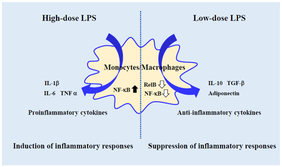 Utility of In Vitro Cellular Models of Low-Dose Lipopolysaccharide in ...