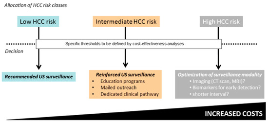 Hepatocellular Carcinoma Prevention in the Era of Hepatitis C Elimination