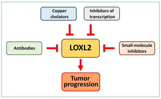 LOXL2 in Cancer: A Two-Decade Perspective