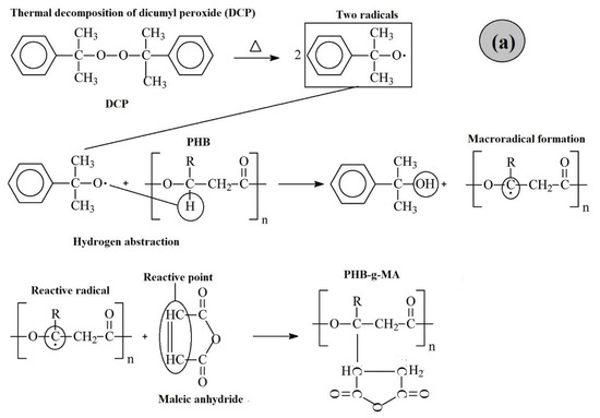 IJMS | Free Full-Text | Toward the Improvement of Maleic Anhydride Functionalization in ...